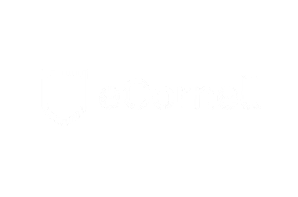 Hands-On Cybersecurity Training & Instructional Content & Labs | Codio